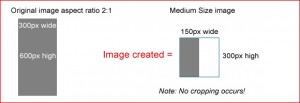 WordPress Featured Images – add_image_size() resizing and cropping demo — Studiograsshopper